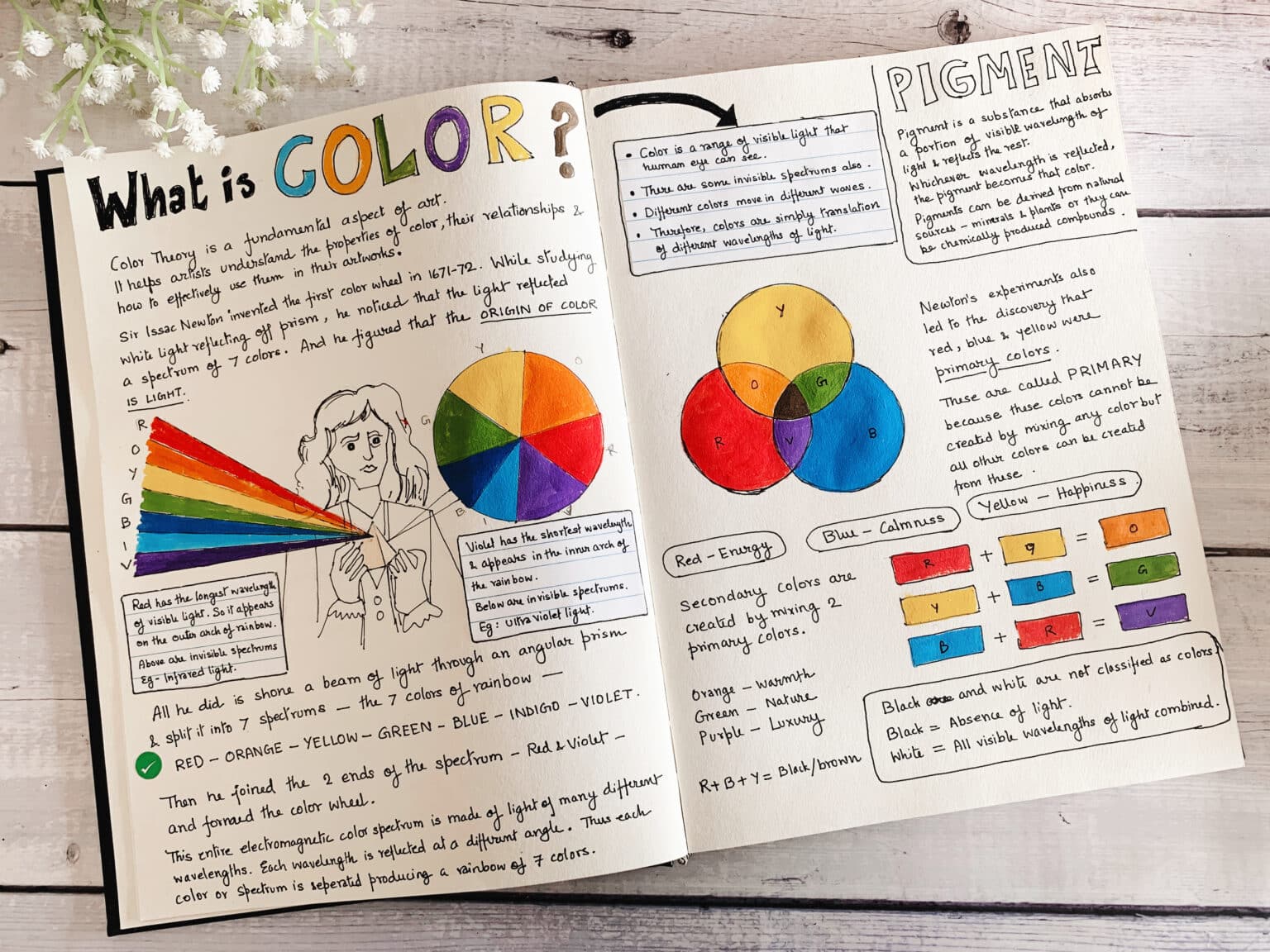 Color wheel for beginners - 13 Essential Tips - Debasree Dey Art