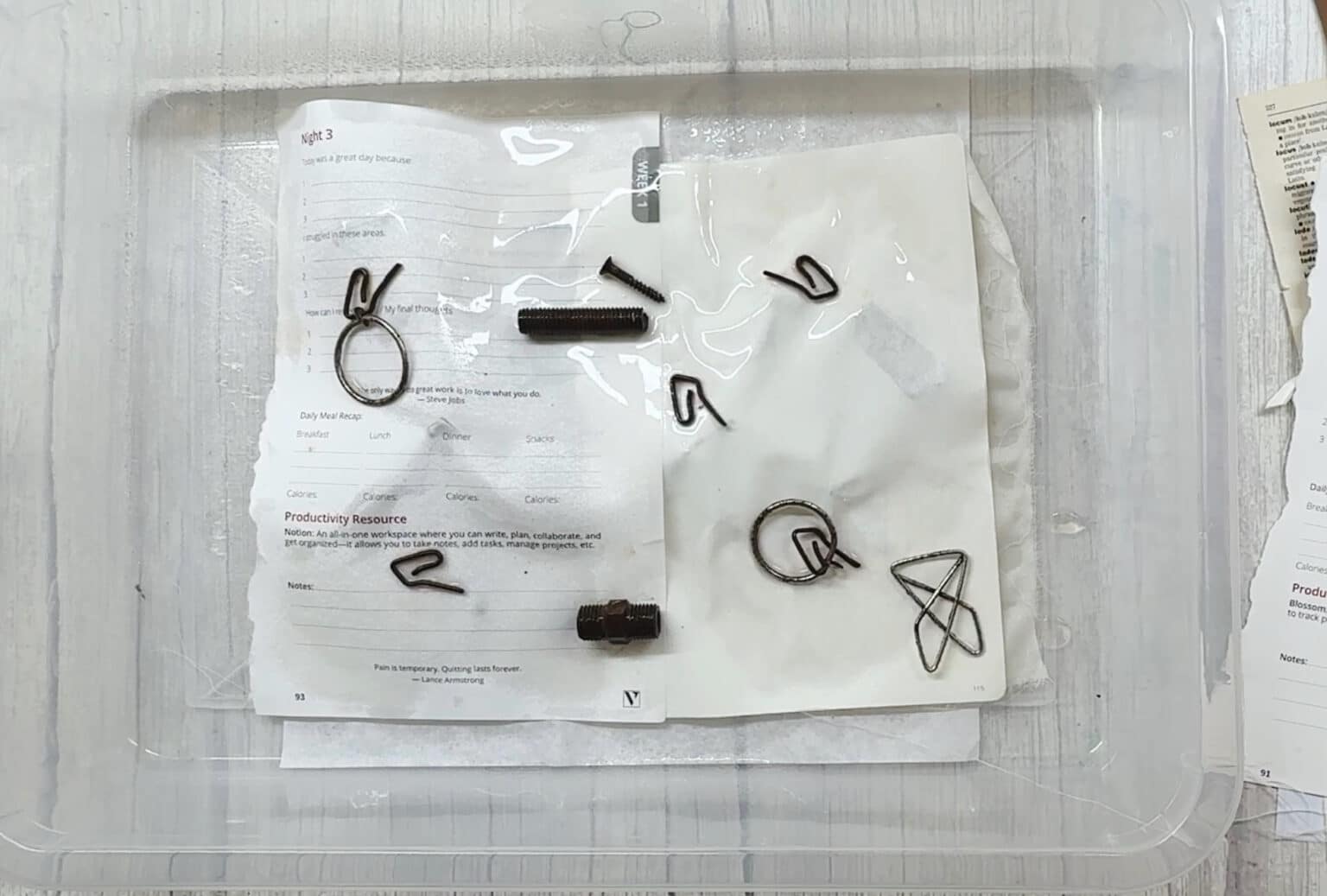 How to Make Rust Printed Papers and Fabrics in 3 Easy Steps - Debasree ...